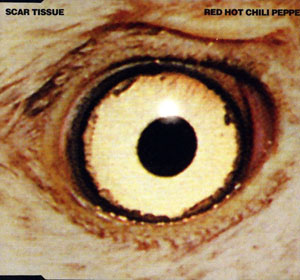 Red Hot Chili Peppers – “Scar Tissue” | Songs | Crownnote